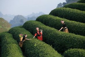 Top Cultural Travel Experiences for Solo Adventurers Worldwide
